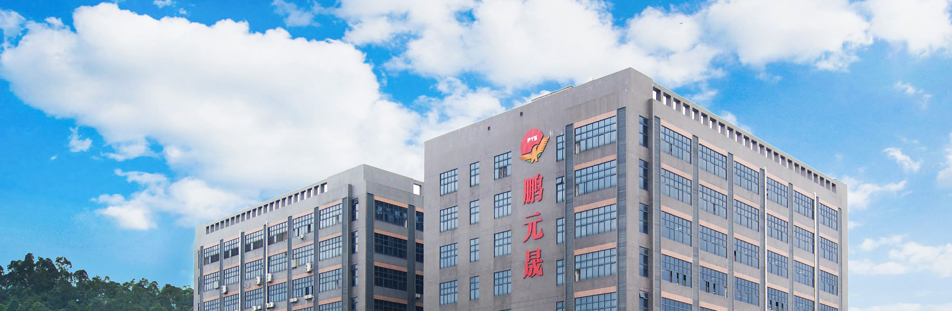 About PYS - Our company